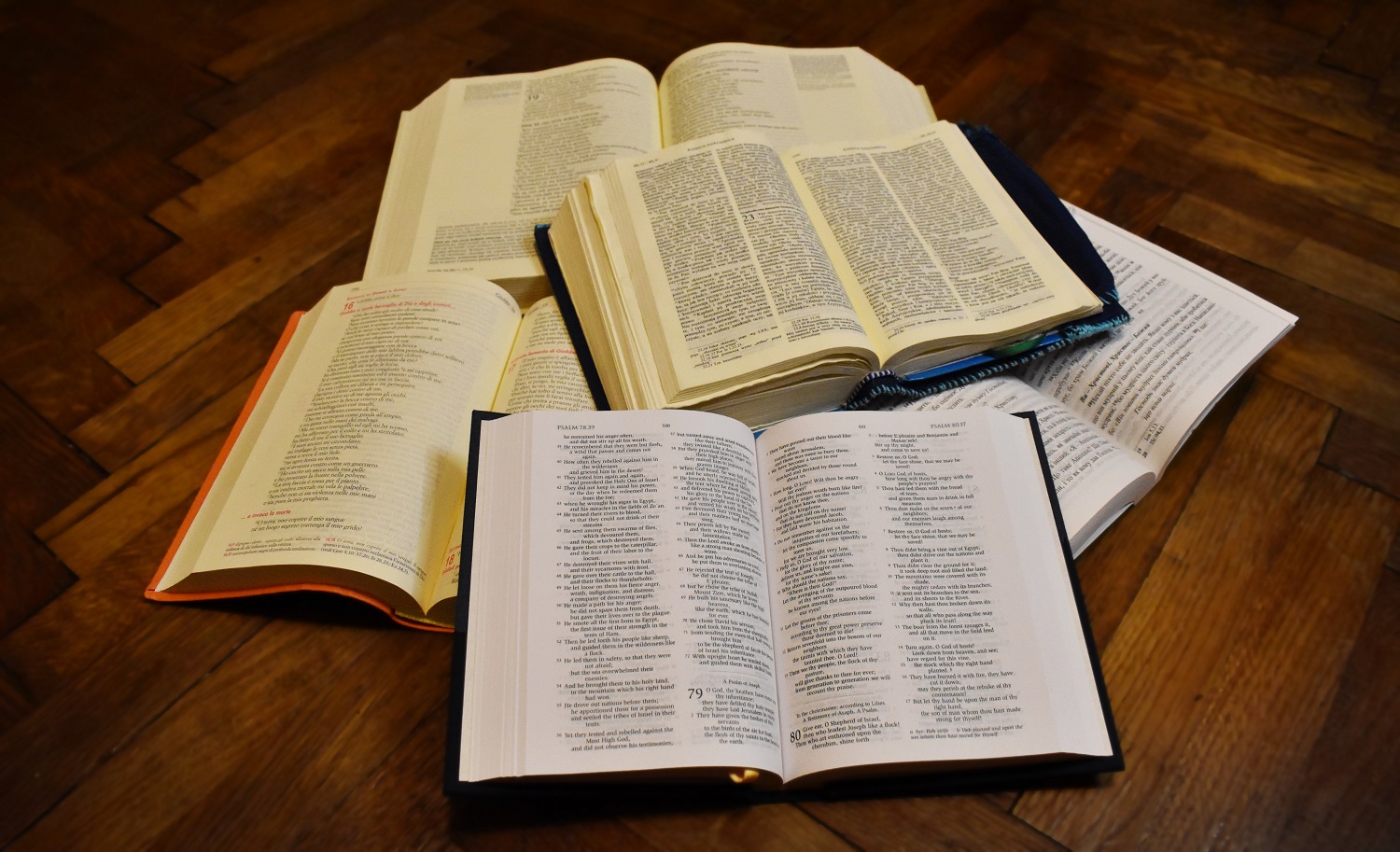 Który przekład Biblii wybrać? - Adeste